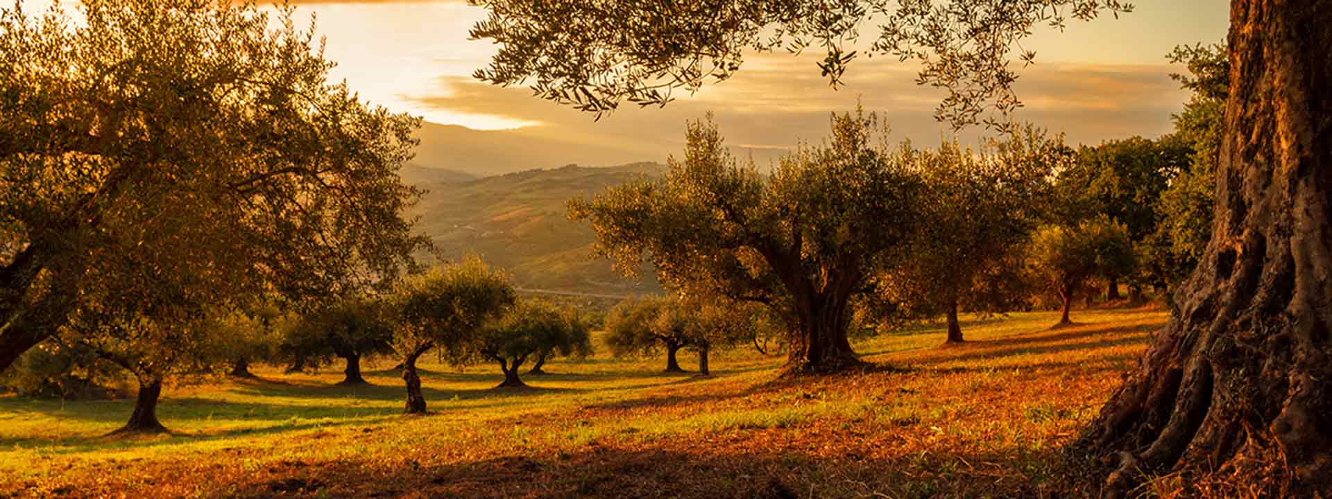 Key Peninsula Farm Tour